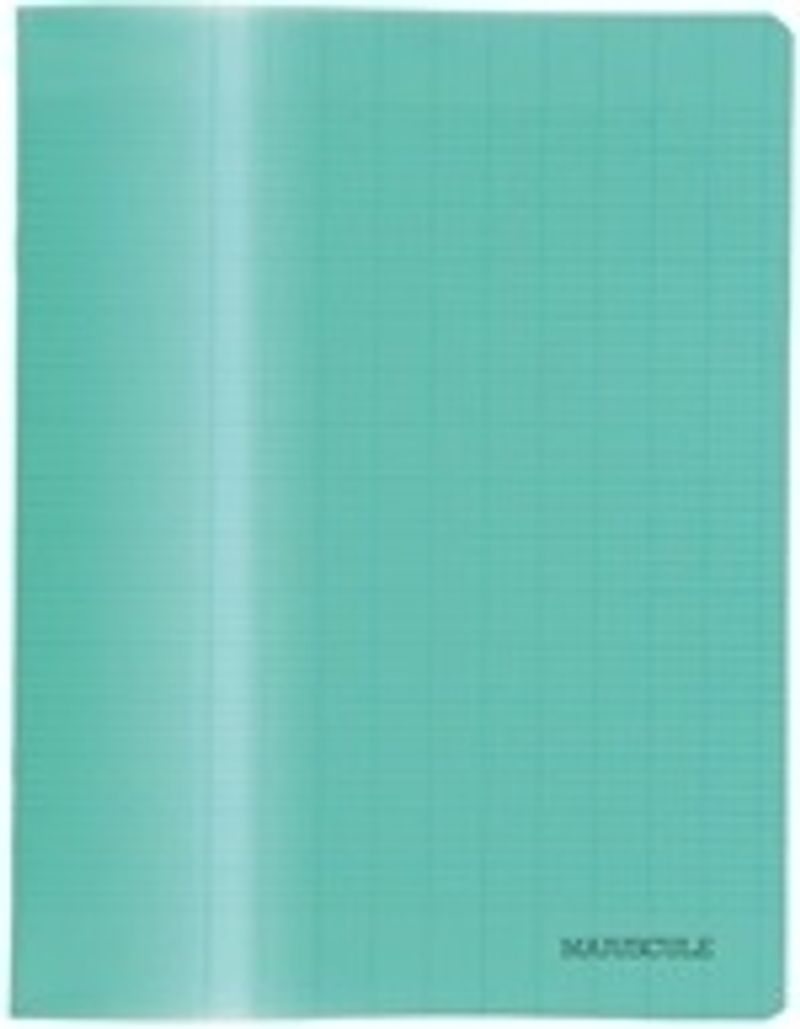 GREEN WRITING BOOK LARGE GRIDS (#126136) – RedManShop